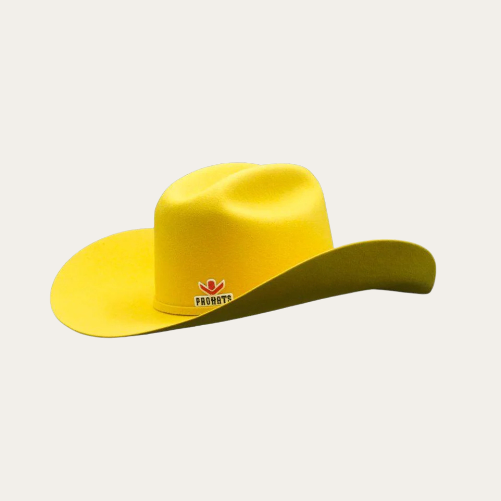 Felt Cowboy Hat Yellow Rodeo Night for Men – Dutton Legends